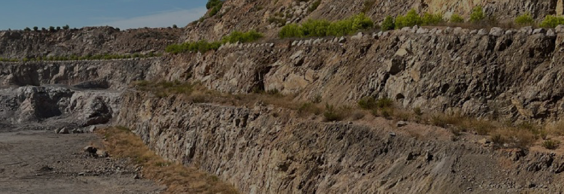 Áridos - González Soto